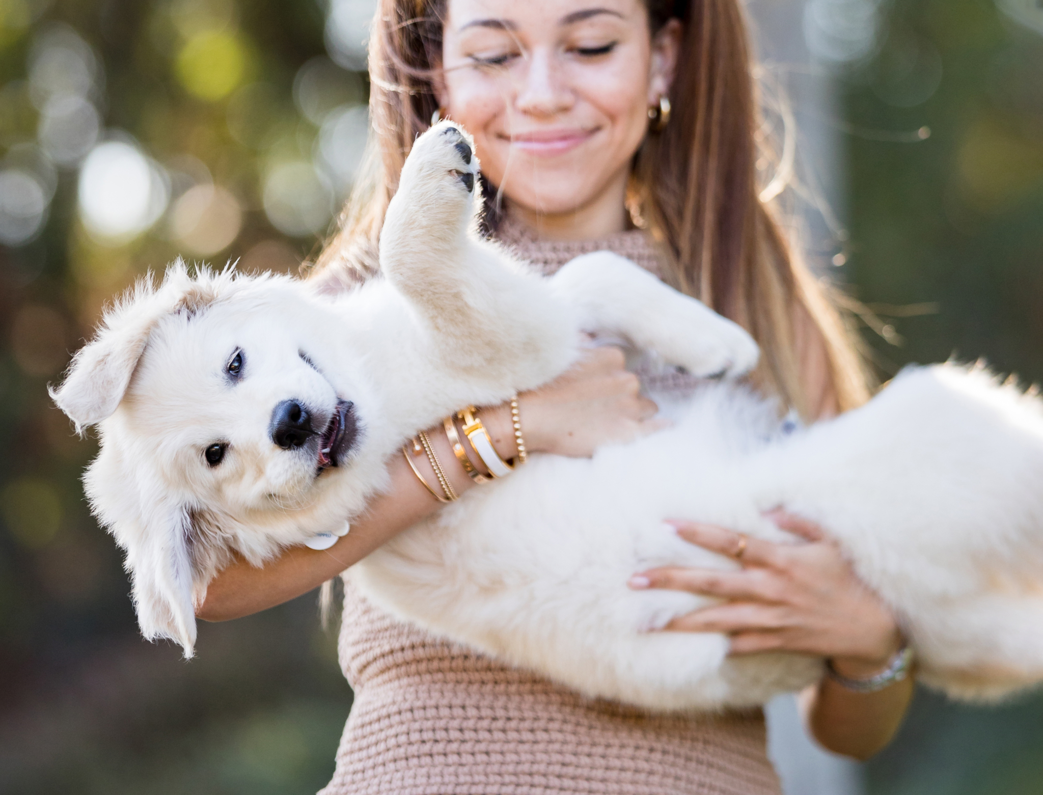 Posing Ideas with Pets for your next Family Photography Session ...